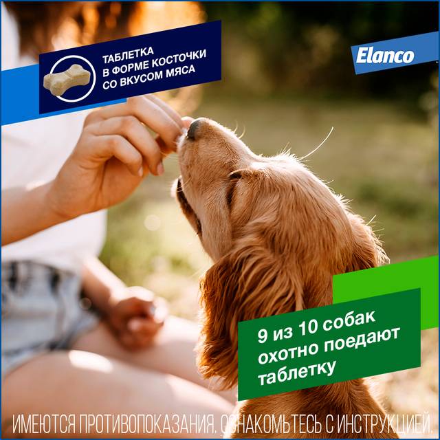 Elanco Дронтал плюс XL, Антигельминтный препарат для собак до 70 кг, 2 ...
