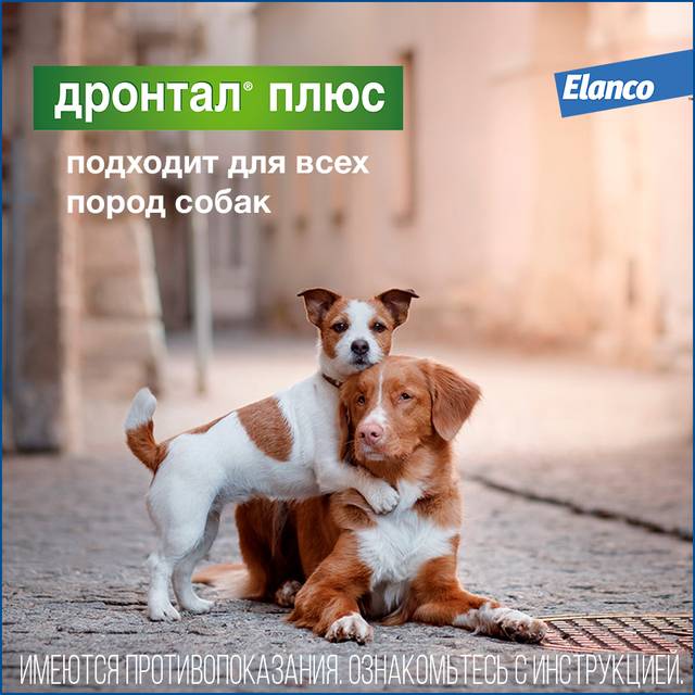 Elanco Дронтал плюс XL, Антигельминтный препарат для собак до 70 кг, 2 ...