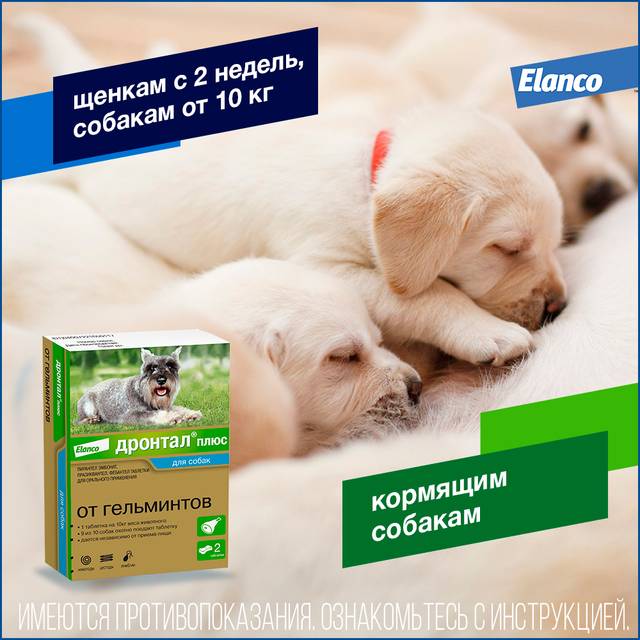 Elanco Дронтал плюс XL, Антигельминтный препарат для собак до 70 кг, 2 ...