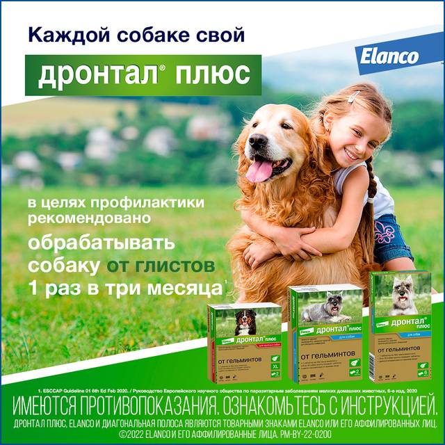 Elanco Дронтал плюс XL, Антигельминтный препарат для собак до 70 кг, 2 ...